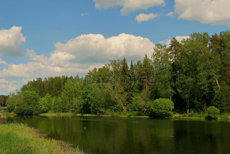 Forest and River, Beautiful Landscape, Nature Stock Image - Image of ...