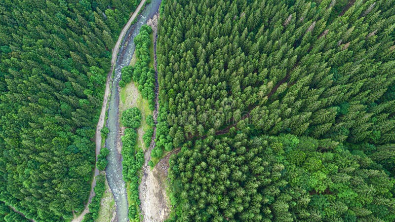 Forest and River from a Bird`s Eye View. Photo from the Drone Stock ...