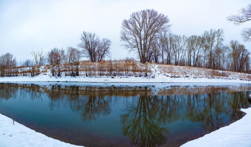 The River that Flows in the Forest in Winter. Stock Photo - Image of ...