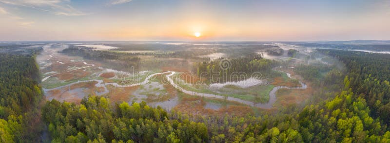 Forest river at dawn stock image. Image of swamp, belarus - 216038959