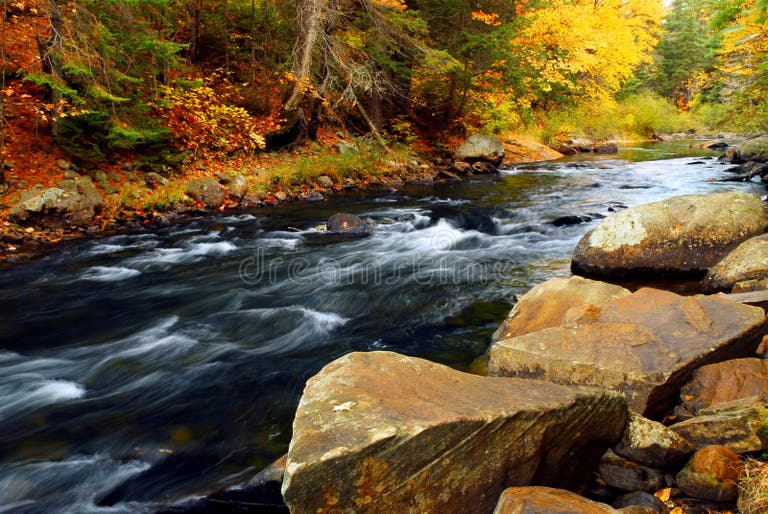 2,203 Wood Forest National Bank Stock Photos - Free & Royalty-Free ...