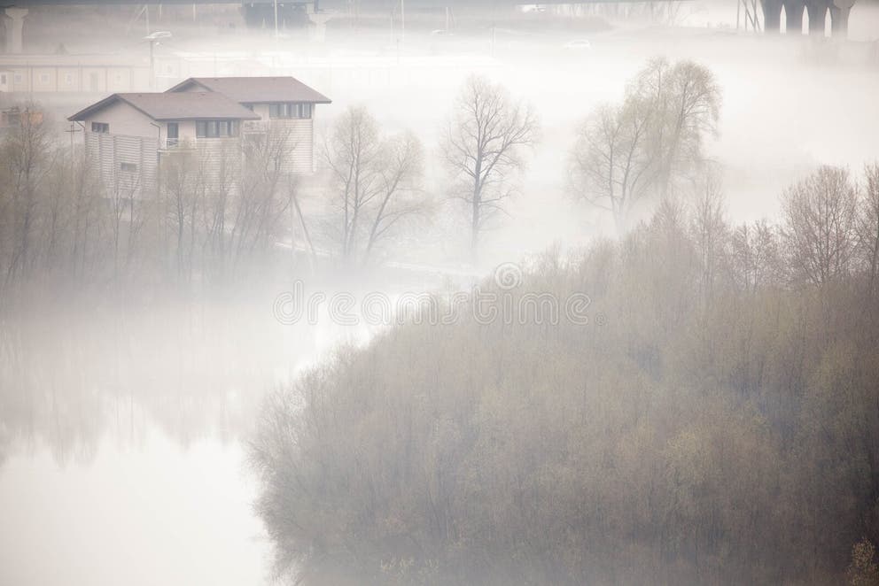 Forest and river in fog stock photo. Image of countryside - 180675608