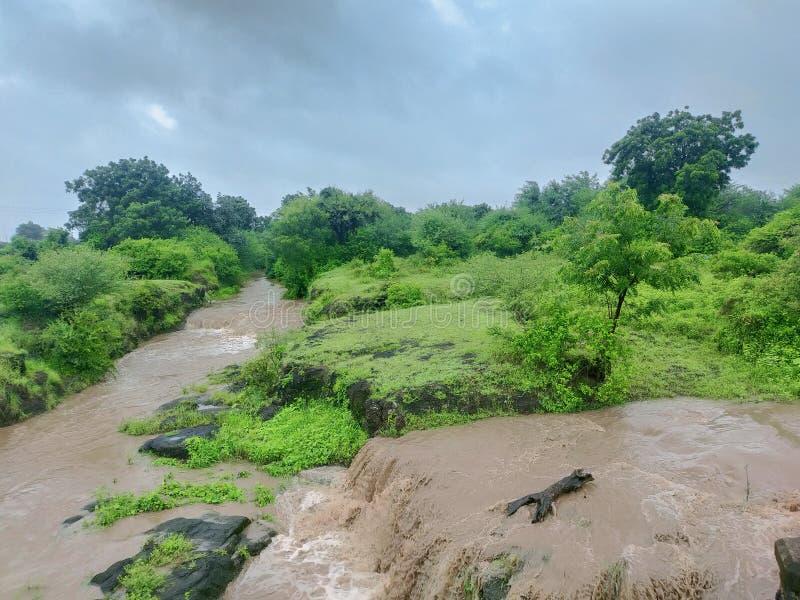 Forest River and greenery stock image. Image of summer - 194353543