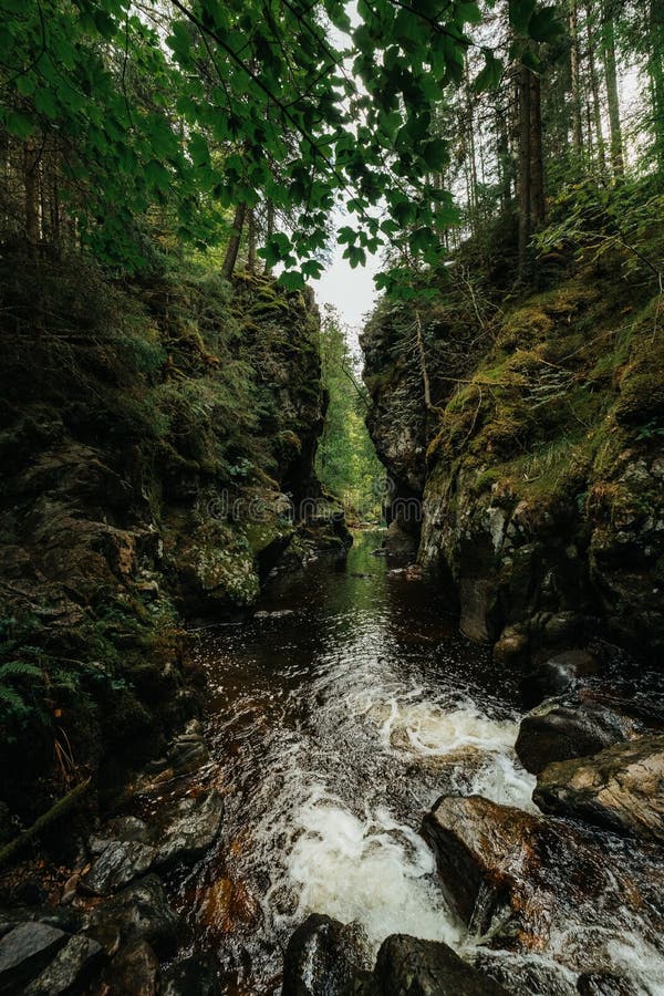 Forest and River of the Haslach Gorge Next To Wutach Gorge in the Black ...