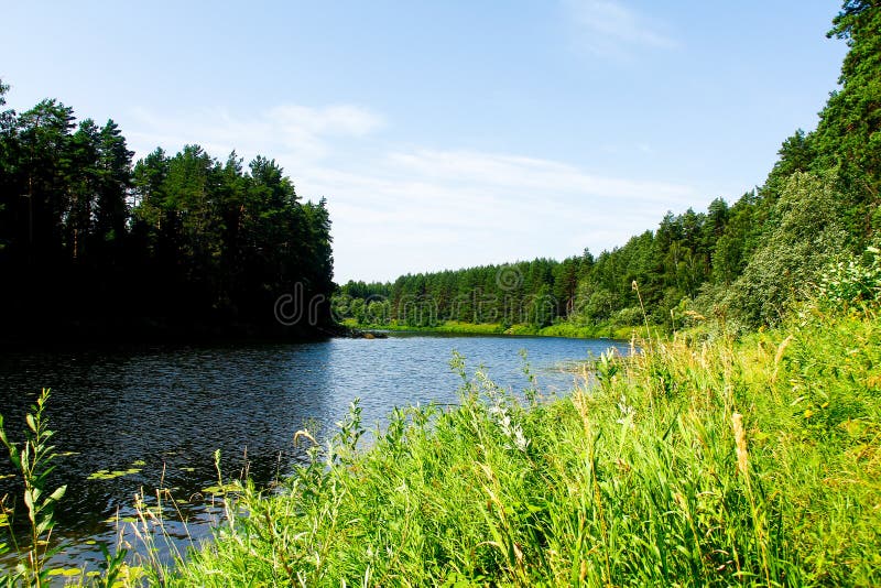 Forest River on a Hot Summer Day Stock Image - Image of scene, lake ...