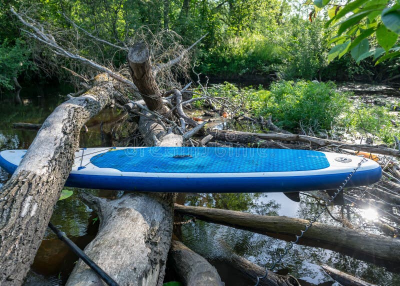 River Landscape, Sup Board on Fallen Trees, Overcoming Various ...