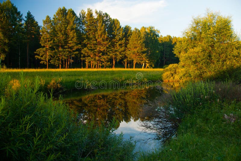 Forest River Landscape View Stock Image - Image of dusk, reflection ...