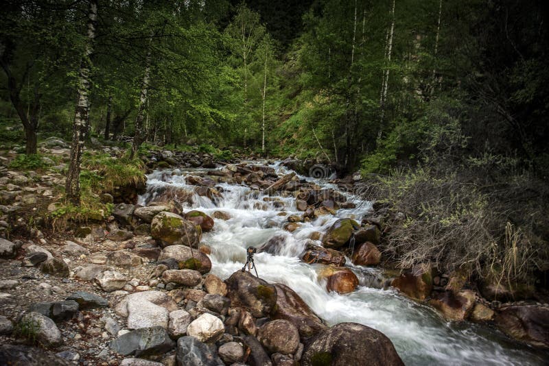 Forest and River in the Mountains. Stock Image - Image of leaves ...