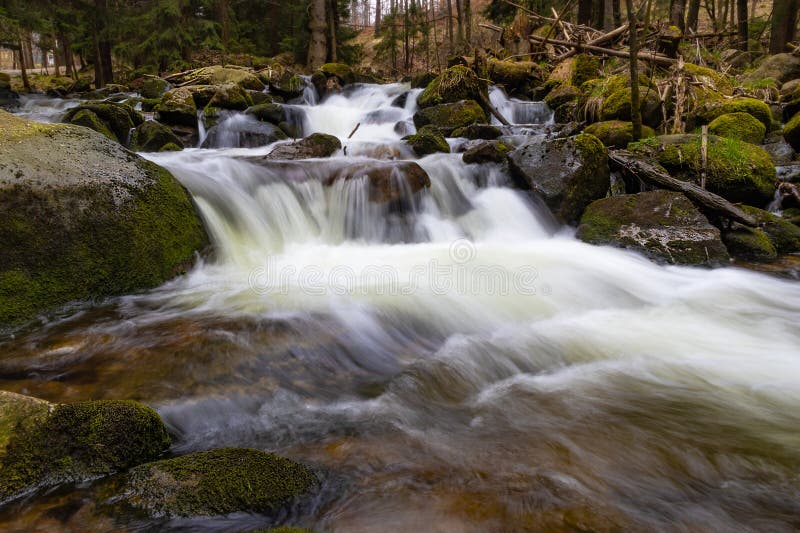 Forest River in the Mountains Stock Photo - Image of wilderness, creek ...