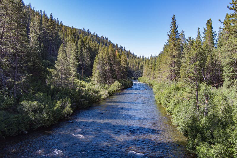 Forest River in Northern California Stock Photo - Image of scenic ...