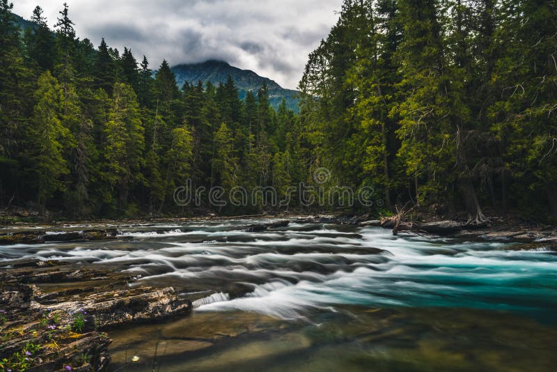 Forest River on Overcast Day. Stock Image - Image of montana, beautiful ...