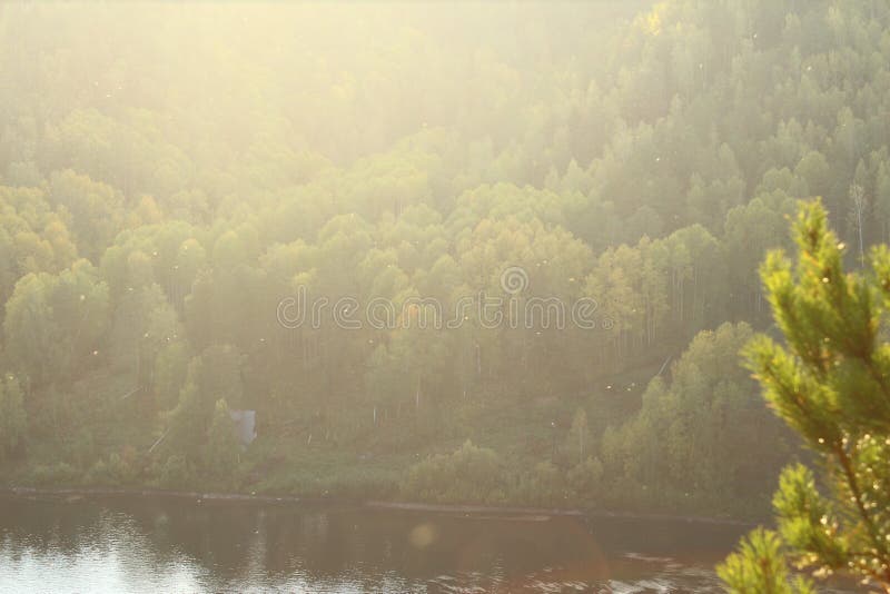 River and Forest in the Rays of Sunset Stock Image - Image of river ...