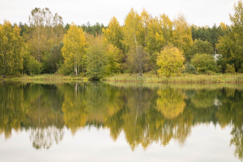 Forest, River and Reflection of Autumn Nature Stock Image - Image of ...