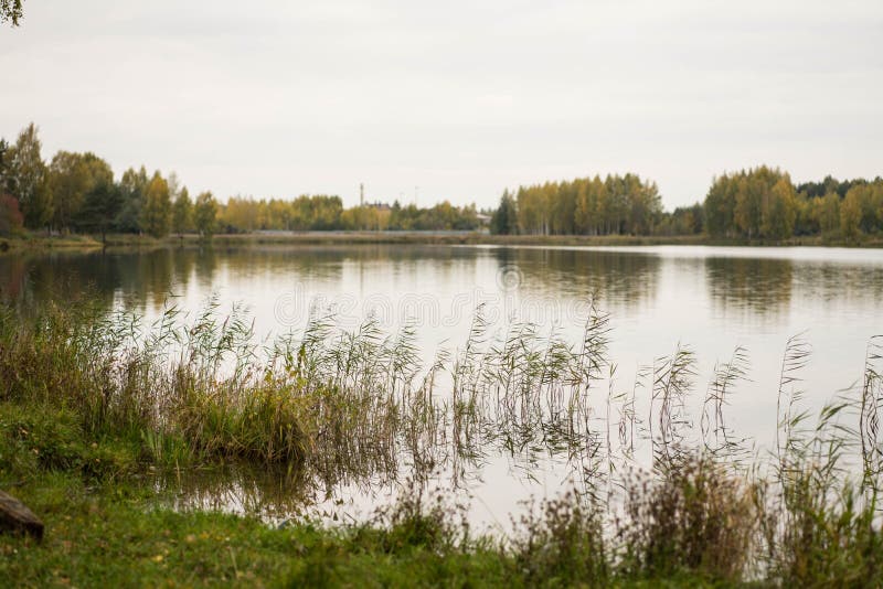 Forest, River and Reflection of Autumn Nature Stock Photo - Image of ...
