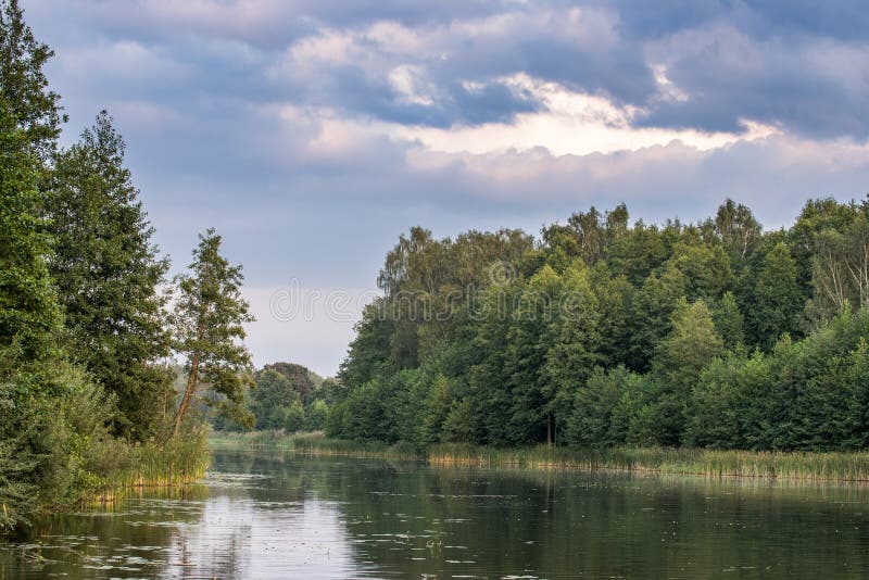 Forest River Reflection Summer Landscape. Forest River Reflection in ...