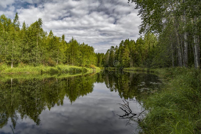 River smooth flow stock photo. Image of leaf, waterfall - 223766300