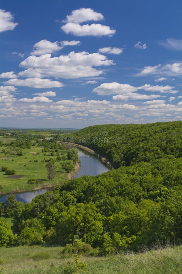 Forest and River in Spring.May.Ukrainian Landscape.Vertical Frame ...