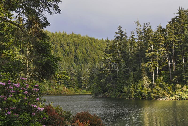 Forest River in Spring Time Stock Photo - Image of hills, forest: 29979654