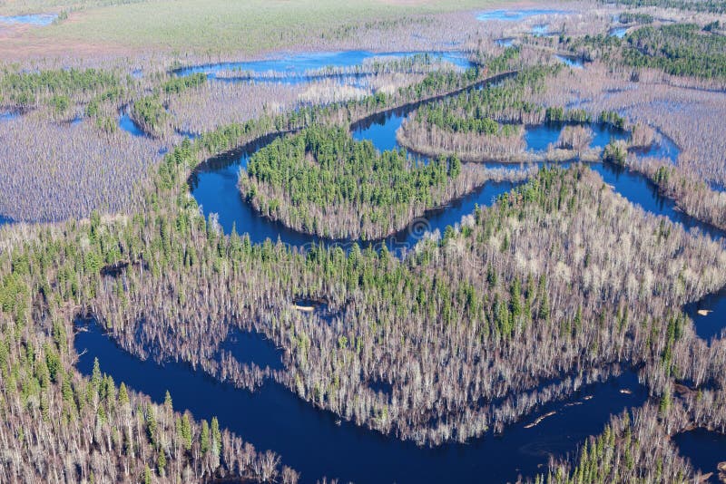 Forest River in Spring, Top View Stock Image - Image of background ...
