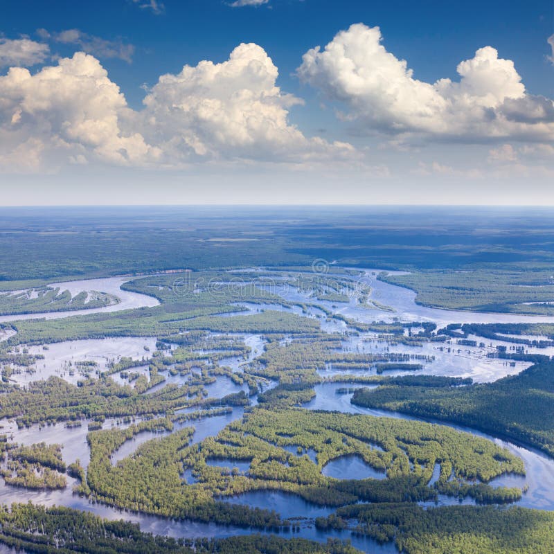 Forest River in Spring, Top View Stock Image - Image of river ...