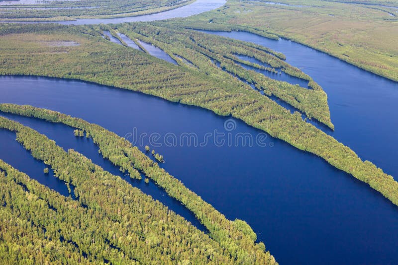 Forest River in Spring, Top View Stock Photo - Image of view, grass ...