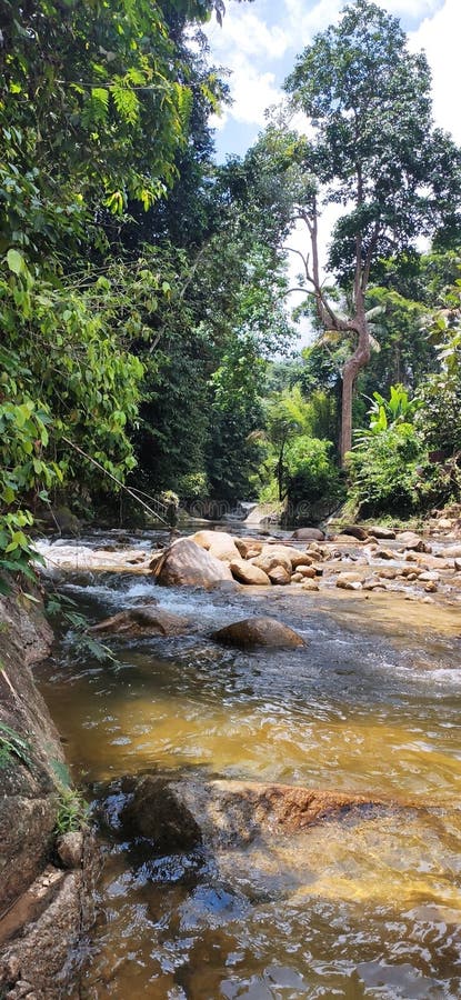 Forest River Stone and Tree with Sun Beam, Water Flow in Perak Malaysia ...