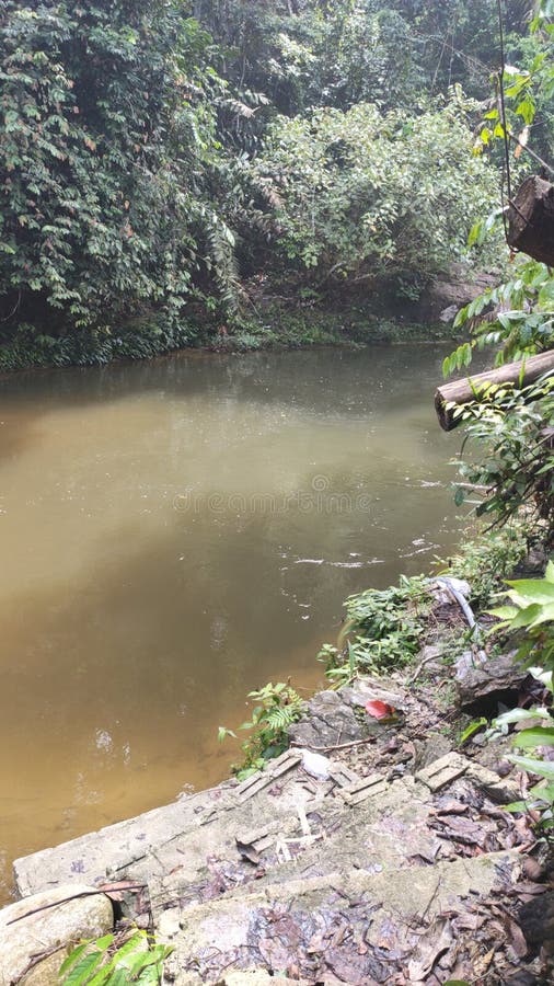 Forest River Stone and Tree with Sun Beam, Water Flow in Perak Malaysia ...