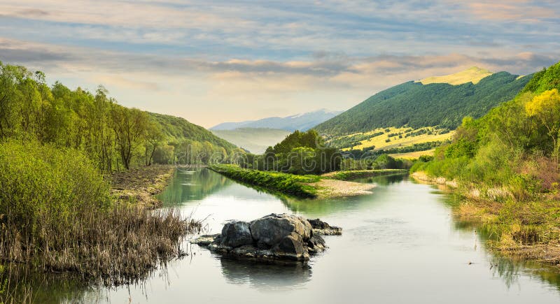 Forest River with Stones and Grass Stock Photo - Image of wild, stone ...