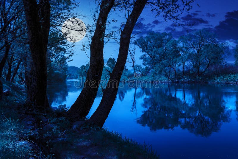 Forest River with Stones and Grass at Night Stock Image - Image of ...
