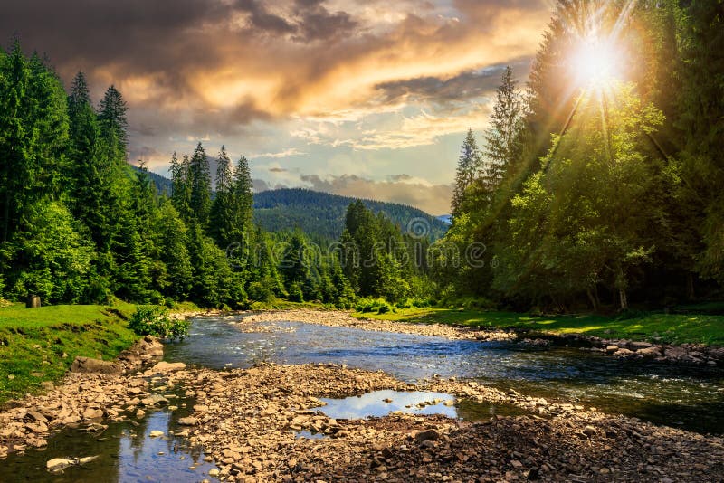 Forest River with Stones at Sunset Stock Image - Image of evening ...