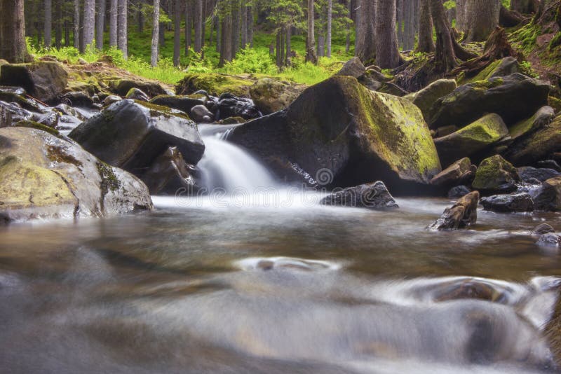 Forest River Stream Water Slowly Flow. Stock Photo - Image of creek ...