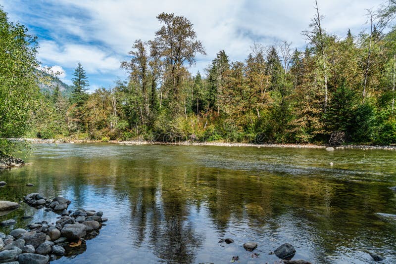 Forest and River 4 stock photo. Image of river, trees - 337537766
