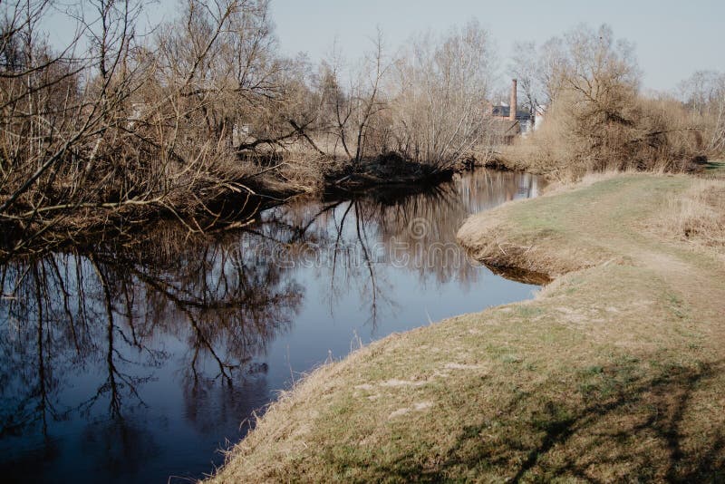 Forest River Water Reflection Landscape. River Forest Scene. Forest ...