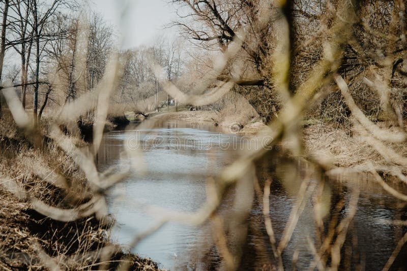 Forest River Water Reflection Landscape through Tree Branches. River ...