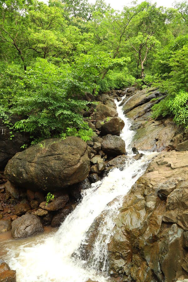 Forest River Waterfall View. Wild River Rapids. Forest Wild River Water ...