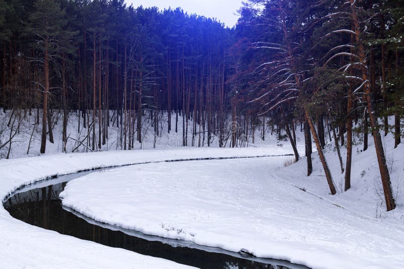 Forest River in Winter. Winter Forest River Flow. Winter Snow Forest ...