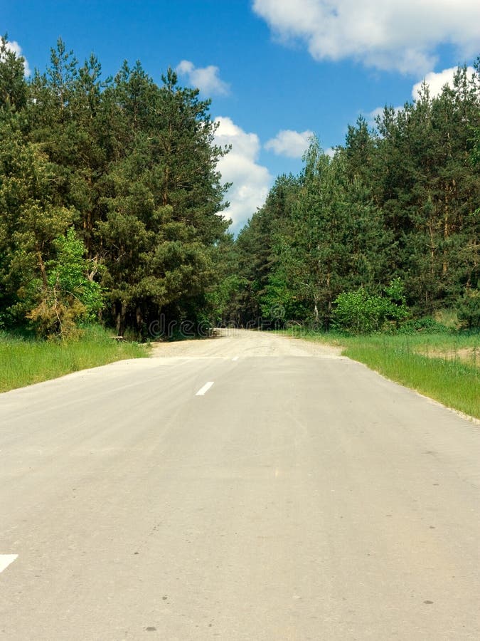 Forest road stock photo. Image of view, forest, road - 12785646