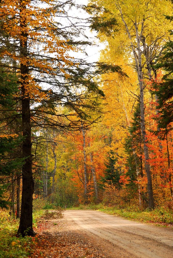 Road in fall forest stock photo. Image of outdoors, ontario - 40538938