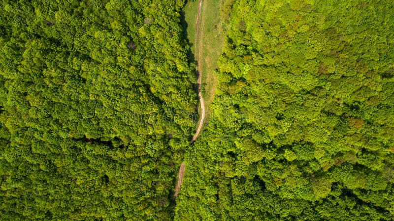 Forest and Road Aerial View. Stock Photo - Image of forest, tree: 182453682