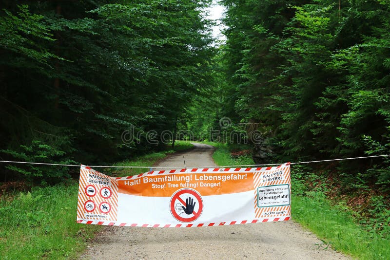 In a Forest the Road is Closed with a Poster Attention Tree Cutting ...