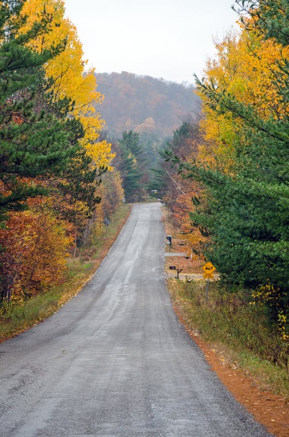 Forest road stock image. Image of fall, north, bent, clouds - 51005225