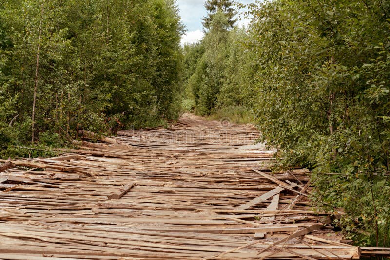 Forest Road Covered with Wooden Slats. the Road To the Logging Site ...
