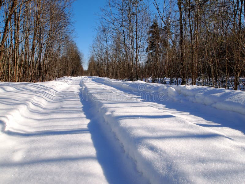 Road stock image. Image of nature, forest, beautiful - 29936455