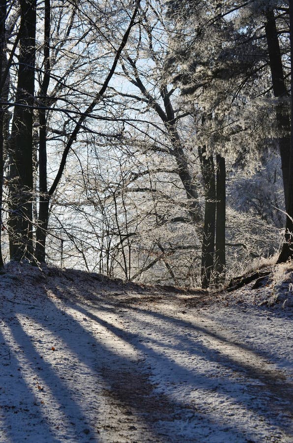 Forest Road at the End of Winter Stock Photo - Image of snow, winter ...