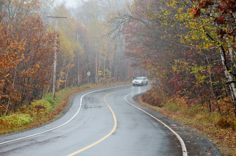 Forest road stock photo. Image of trees, quebec, fall - 221315462