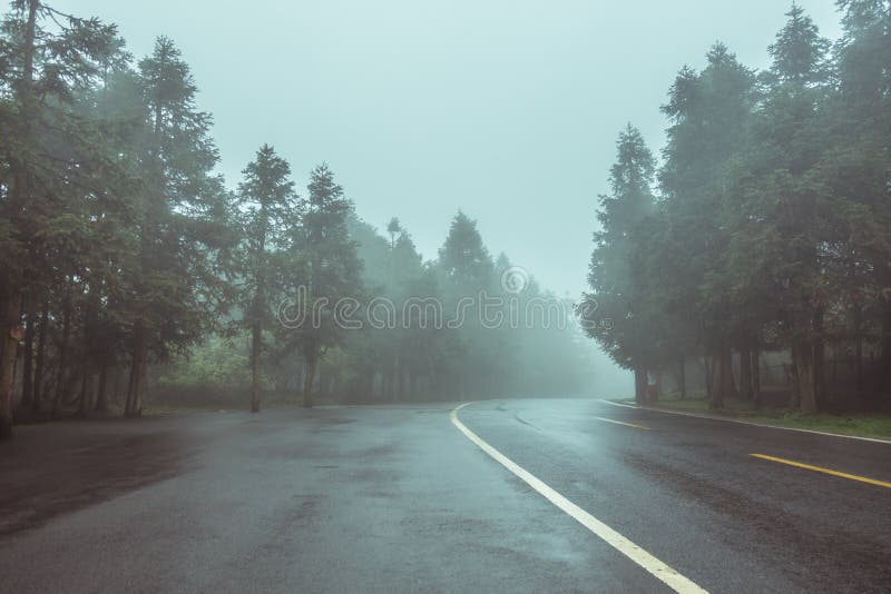 Forest road in the fog stock image. Image of forest - 118305379