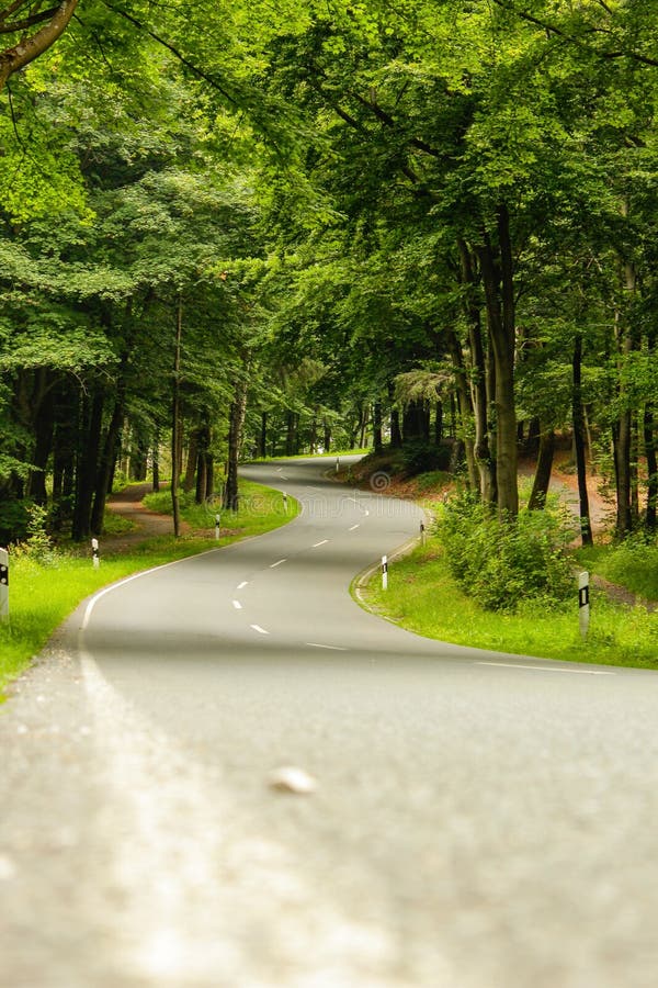 Forest Road and Green Trees, Germany Stock Photo - Image of green ...