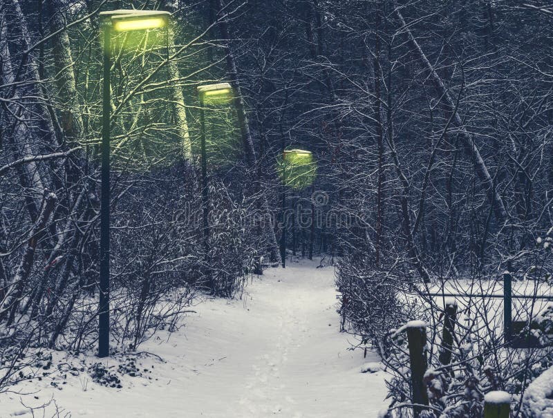 Forest Road with Lighted Lampposts on a Cold and Snowy Winter Night ...
