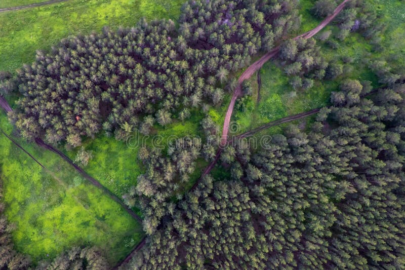 Forest Road and Meadow Landscape Top View from Drone Stock Photo ...