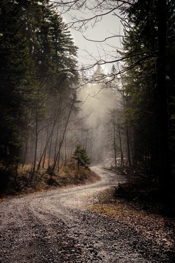 Road in to the mist stock photo. Image of seasonal, uphill - 476320